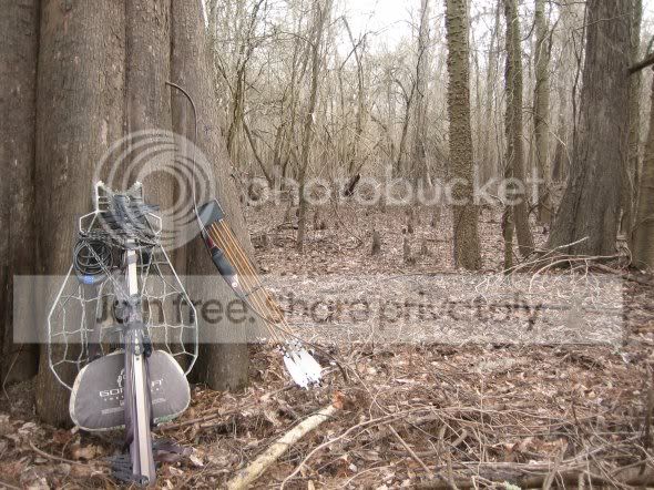 lets have a bow picture thread | Page 7 | Archery Talk Forum