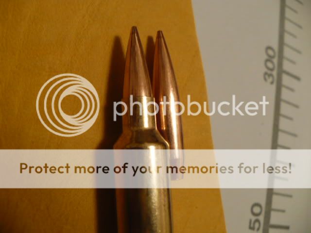 6.5x284 Norma in short action - 24hourcampfire