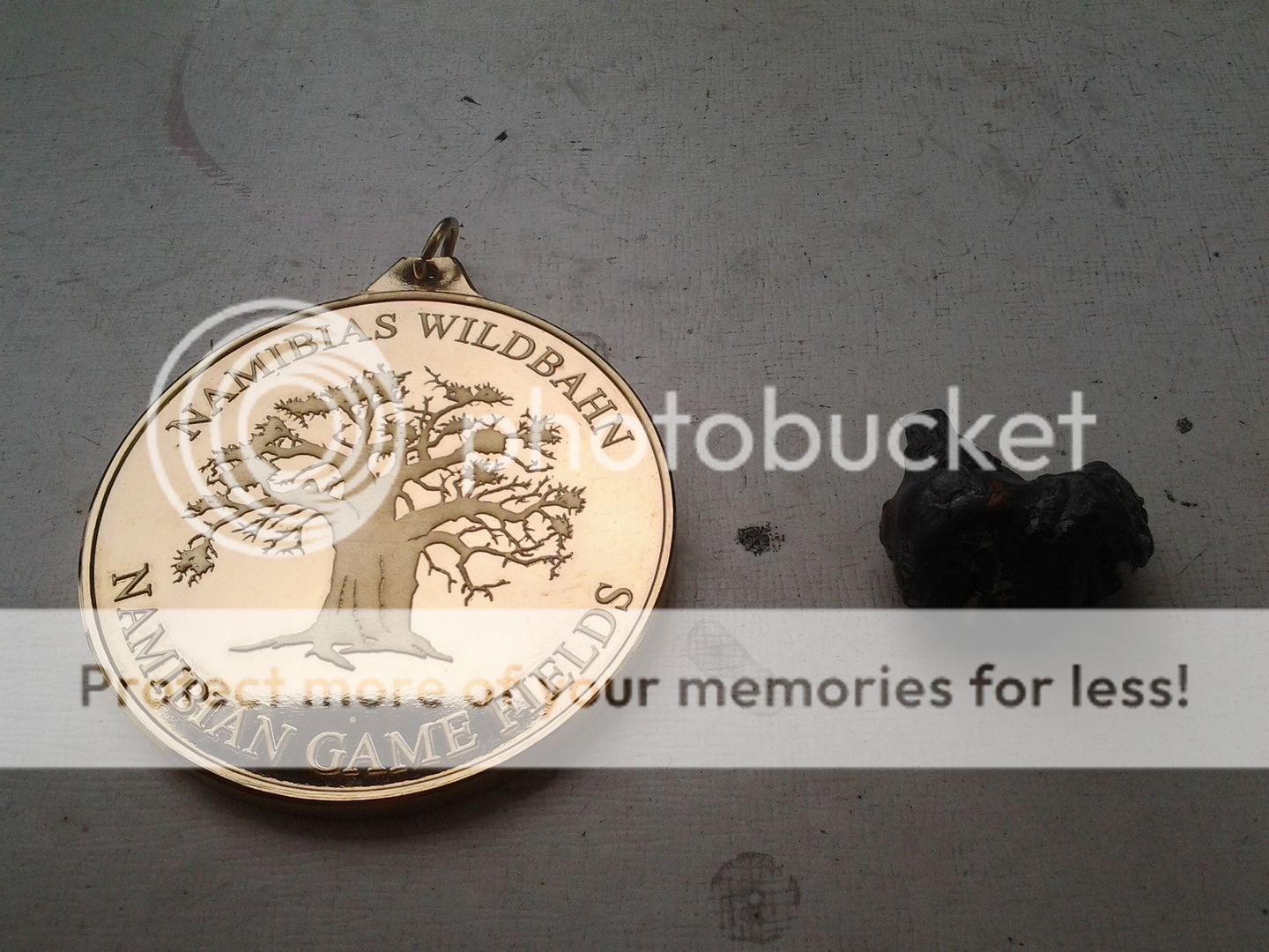 Post Your Recovered Bullet Photos Here! | Page 3 | Marlin Firearms Forum