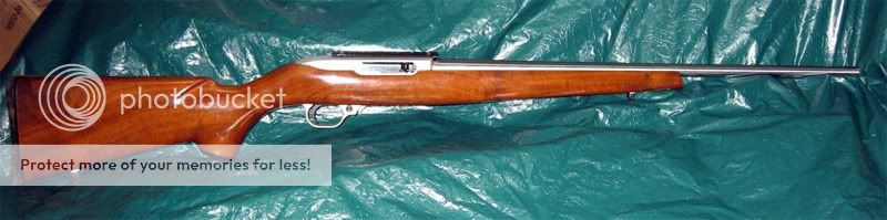 Basic stainless scope and ring recommendations? | Rimfire Central ...